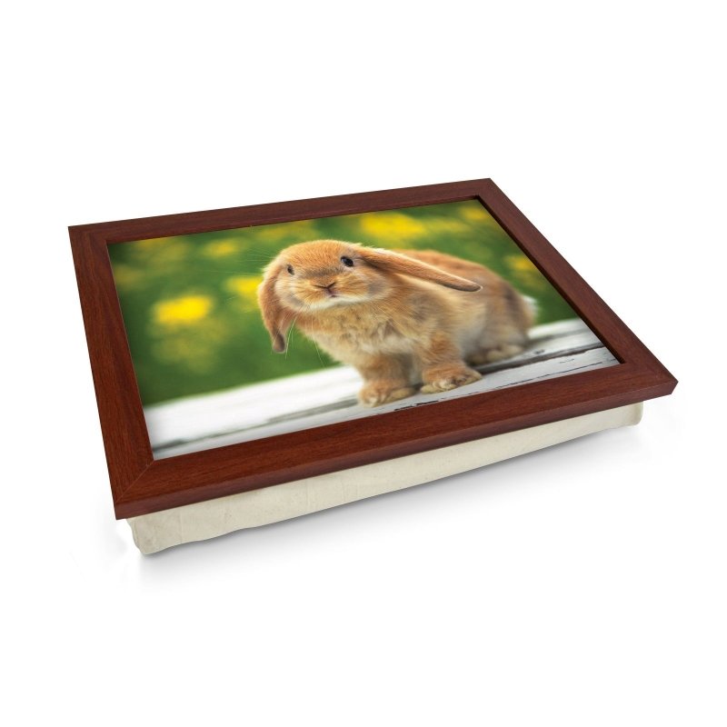Cute Bunny Rabbit Lap Tray - L0480 - British D'sire