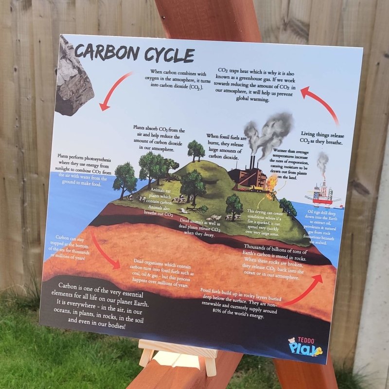 Teddo Play Water Cycle & Carbon Cycle Portable Educational Poster ...