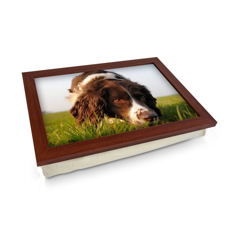 Brown Cocker Spaniel Dog Lap Tray - L0583 - British D'sire