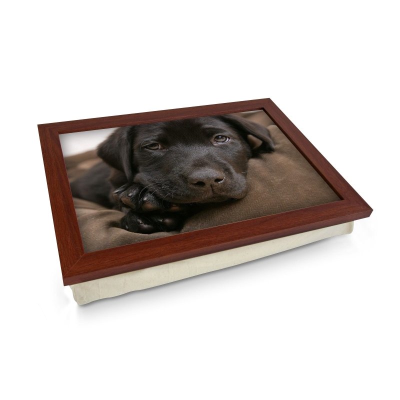 Chocolate Labrador Puppy Lap Tray - L0587 - British D'sire