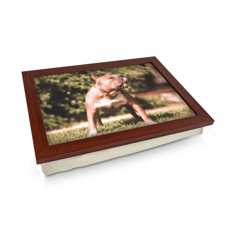 Pitbull Dog Lap Tray - L0035 - British D'sire