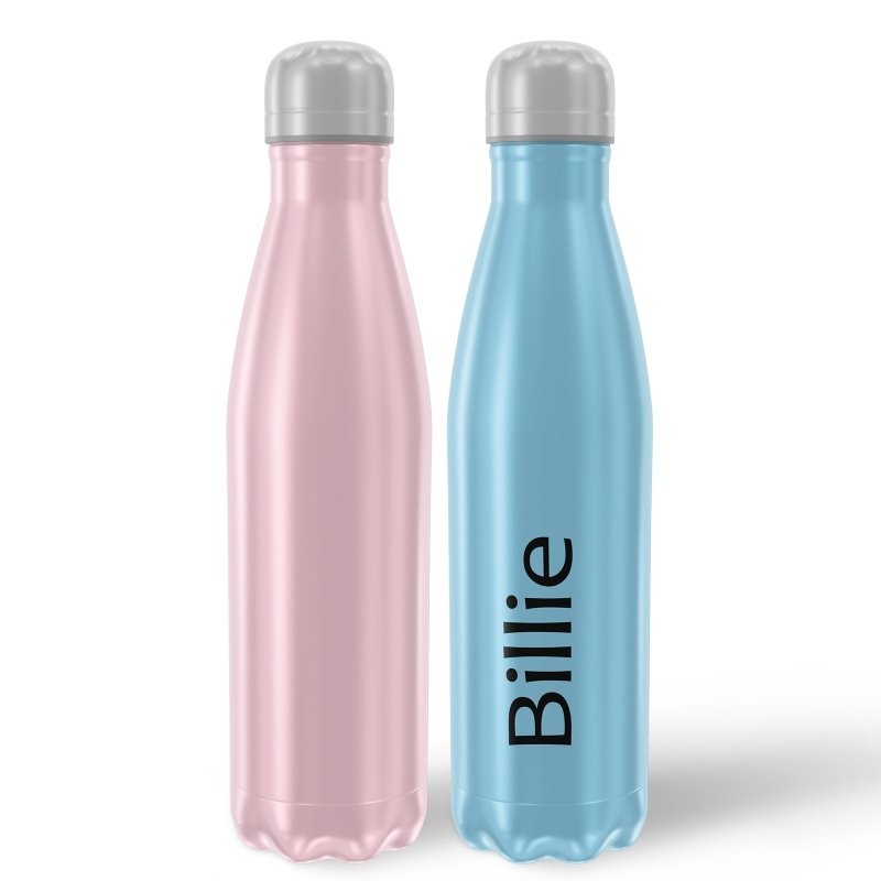 Stainless Steel Sports and Travel Insulated Bottle - British D'sire